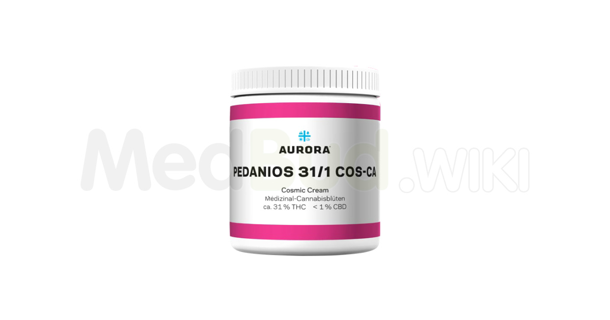 Aurora® COS-CA T31 Cosmic Cream Medical Cannabis Flower • MedBud® UK